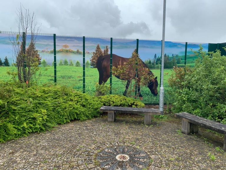 Britplas | Fortress Fencing | Secure fencing for mental health environments